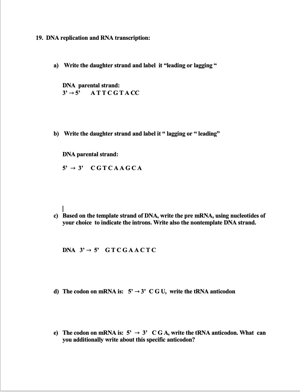Solved 19. DNA replication and RNA transcription: a) Write | Chegg.com