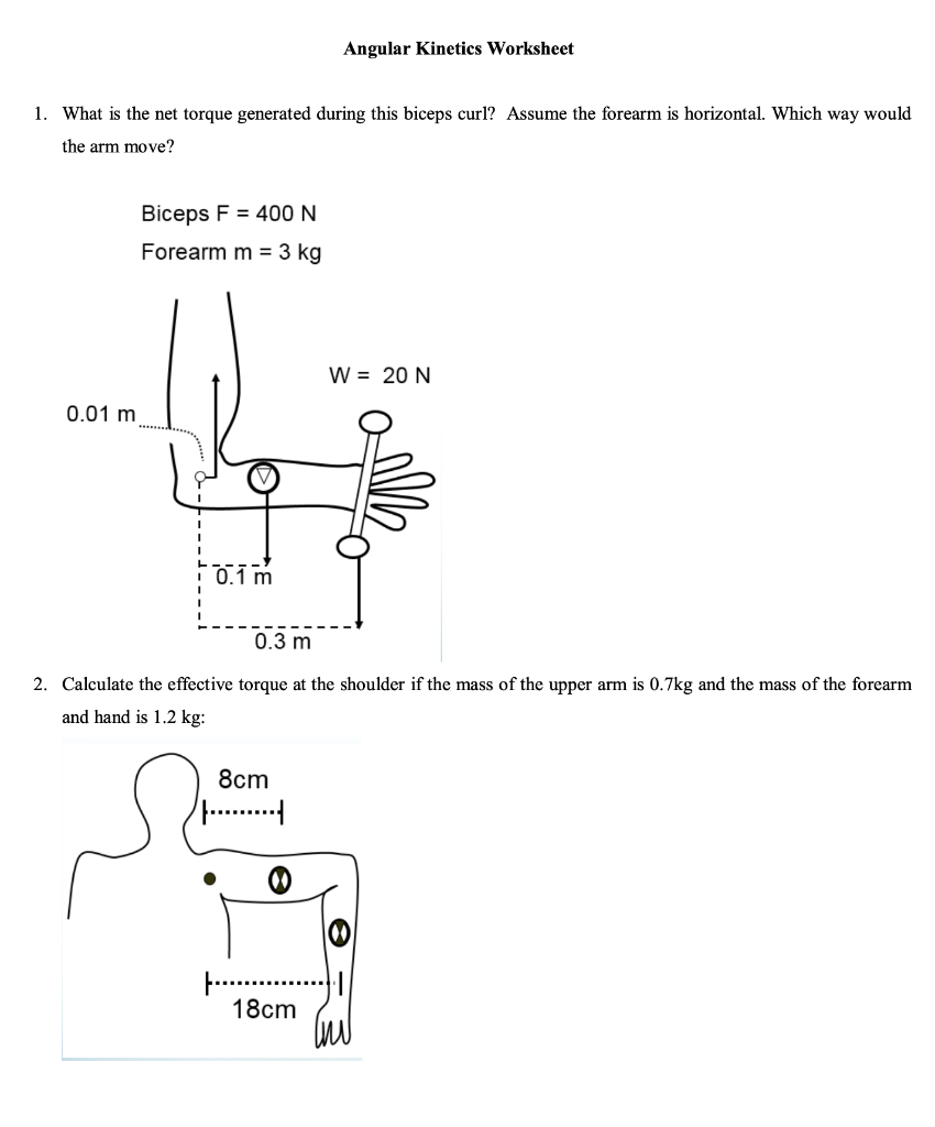 Solved Angular Kinetics Worksheet 1. What is the net torque | Chegg.com