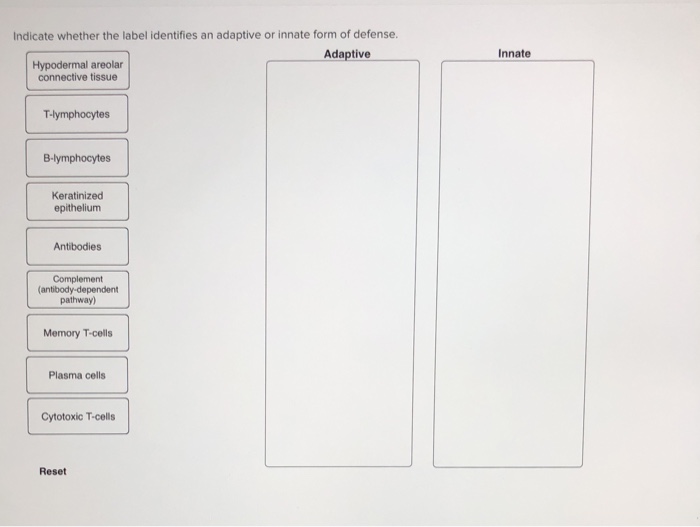 Solved Indicate whether the label identifies an adaptive or | Chegg.com