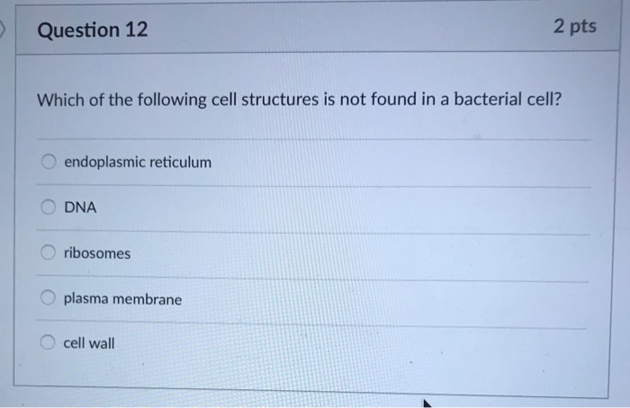 Solved Question 12 2 pts Which of the following cell | Chegg.com