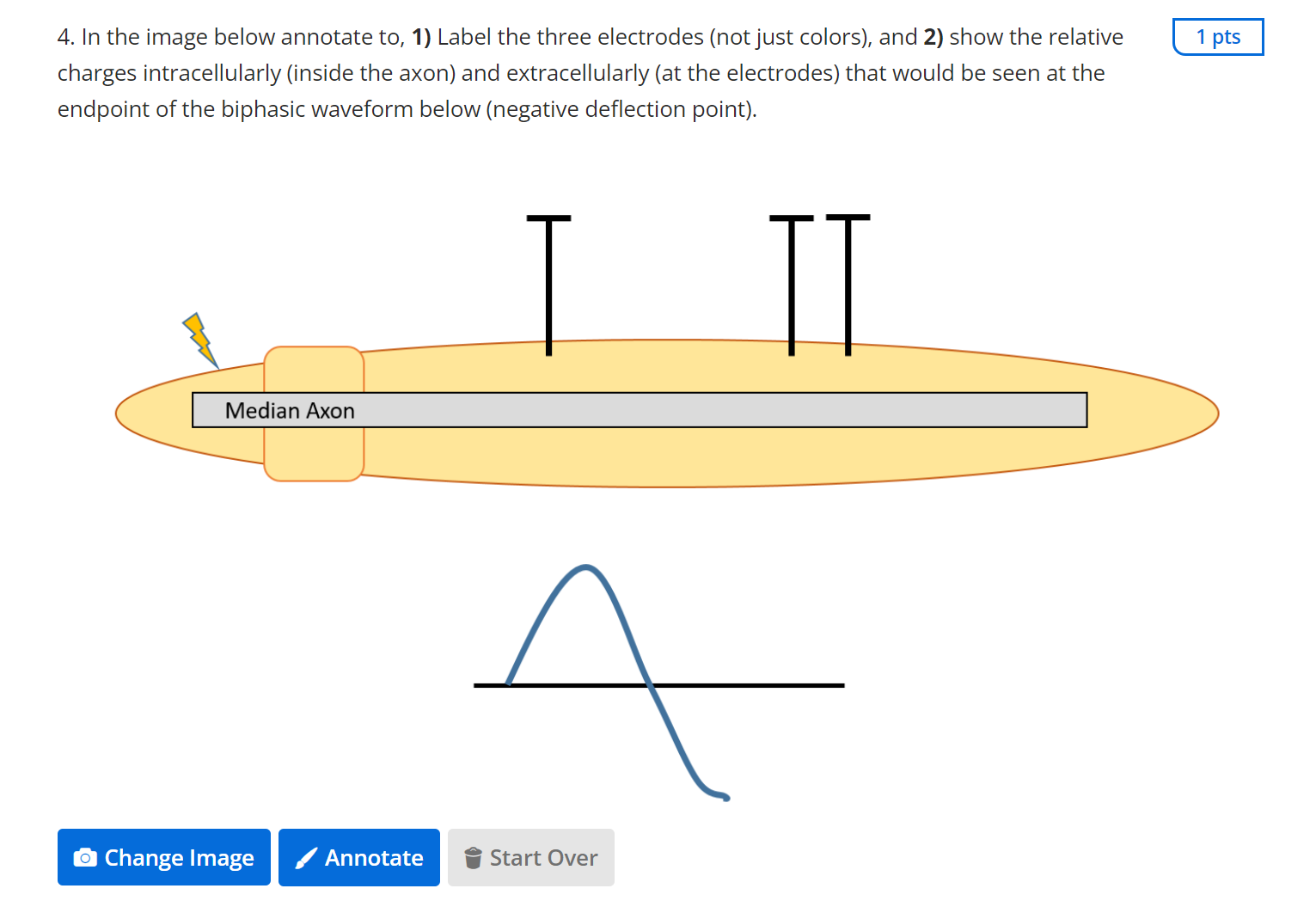 Solved Can you draw it so I know where to label? I am seeing | Chegg.com