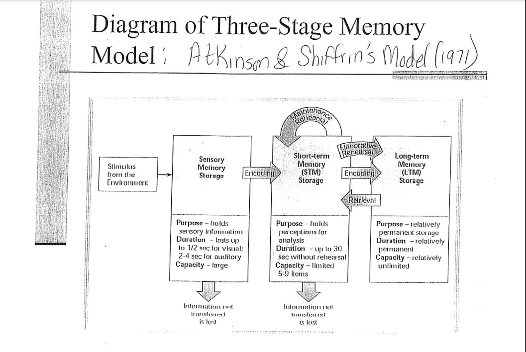 Solved Using the Diagram of Three Stage Memory Model (see | Chegg.com