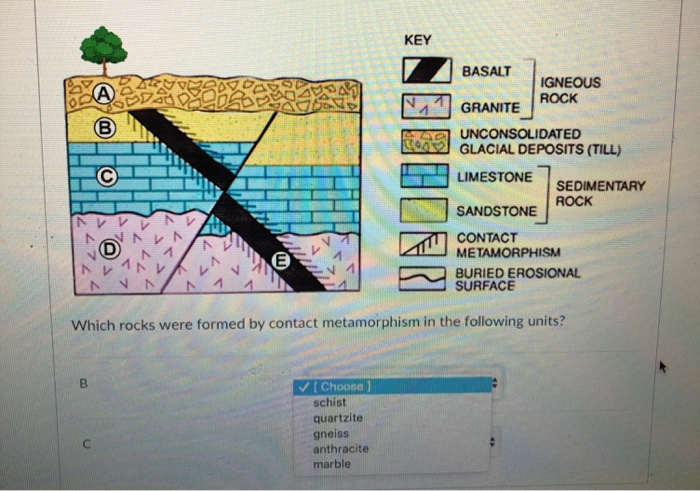 Solved arks Window Help a iu.instructure.com Sedimentary | Chegg.com