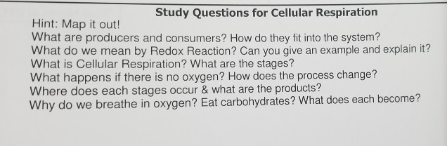 Solved Study Questions for Cellular Respiration Hint: Map it | Chegg.com