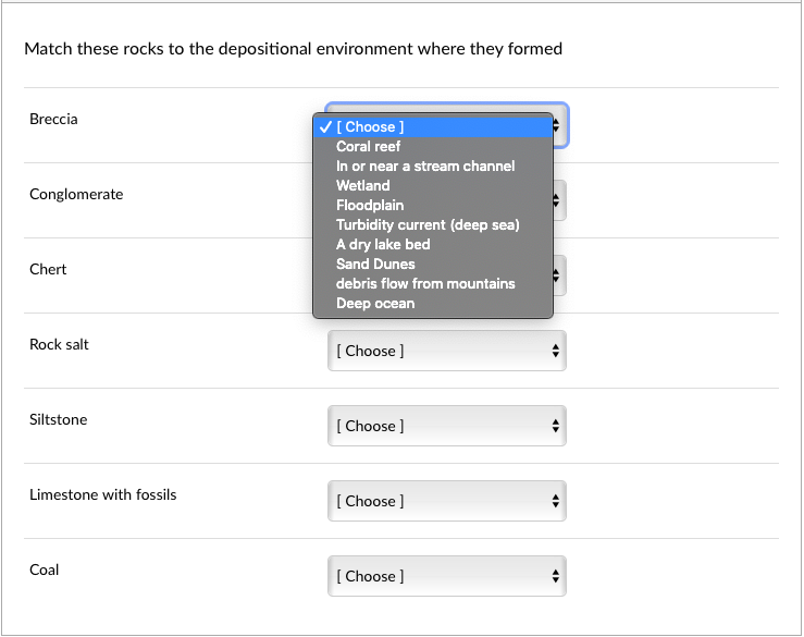 Solved Match these rocks to the depositional environment | Chegg.com