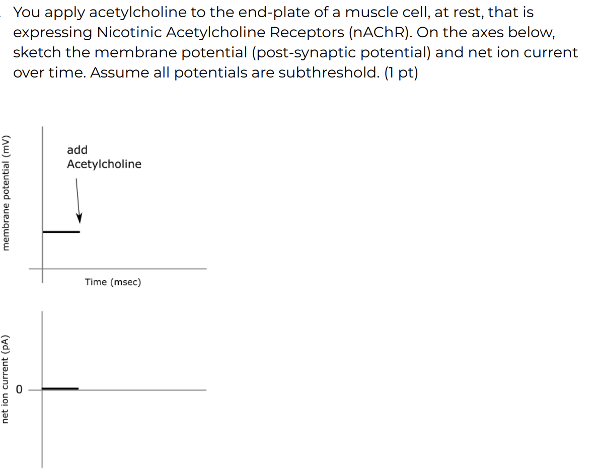 Solved You apply acetylcholine to the end-plate of a muscle | Chegg.com