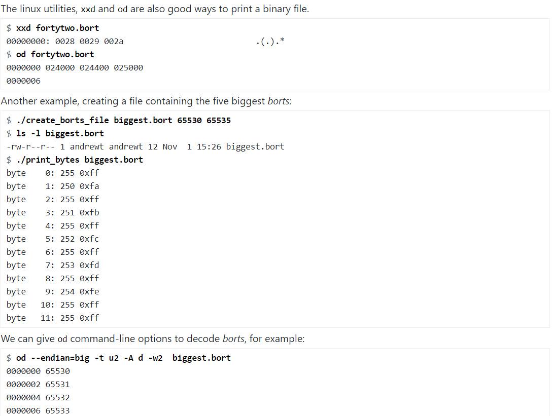 Solved EXERCISE — INDIVIDUAL: Create Borts File Write a C | Chegg.com