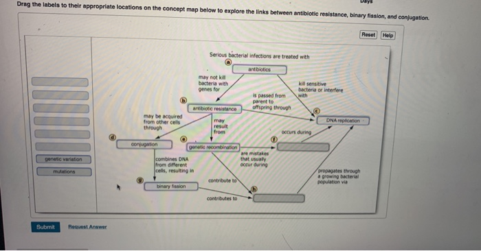 Solved Drag the labels to their appropriate locations on the | Chegg.com
