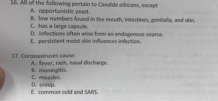 Solved 16. All of the following pertain to Candida albicans, | Chegg.com