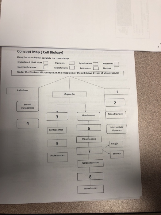Solved Concept Map ( Cell Biology) Using the terms below, | Chegg.com