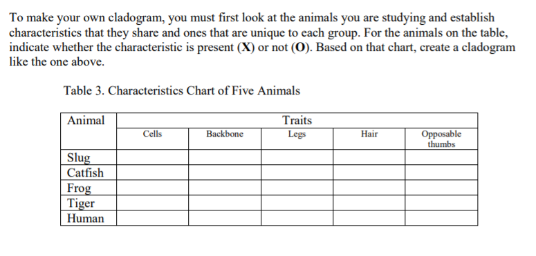 Solved To make your own cladogram, you must first look at | Chegg.com