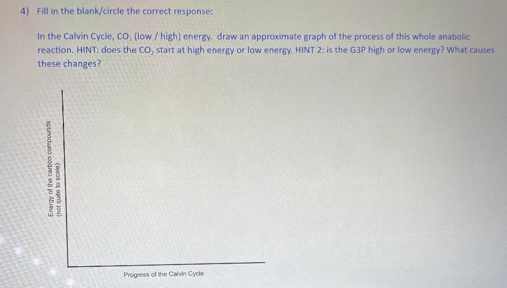Solved 4) Fill in the blank/circle the correct response: In | Chegg.com