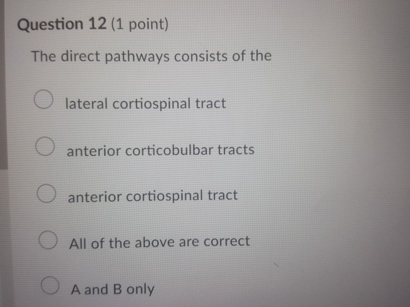 Solved Question 12 (1 point) The direct pathways consists of | Chegg.com