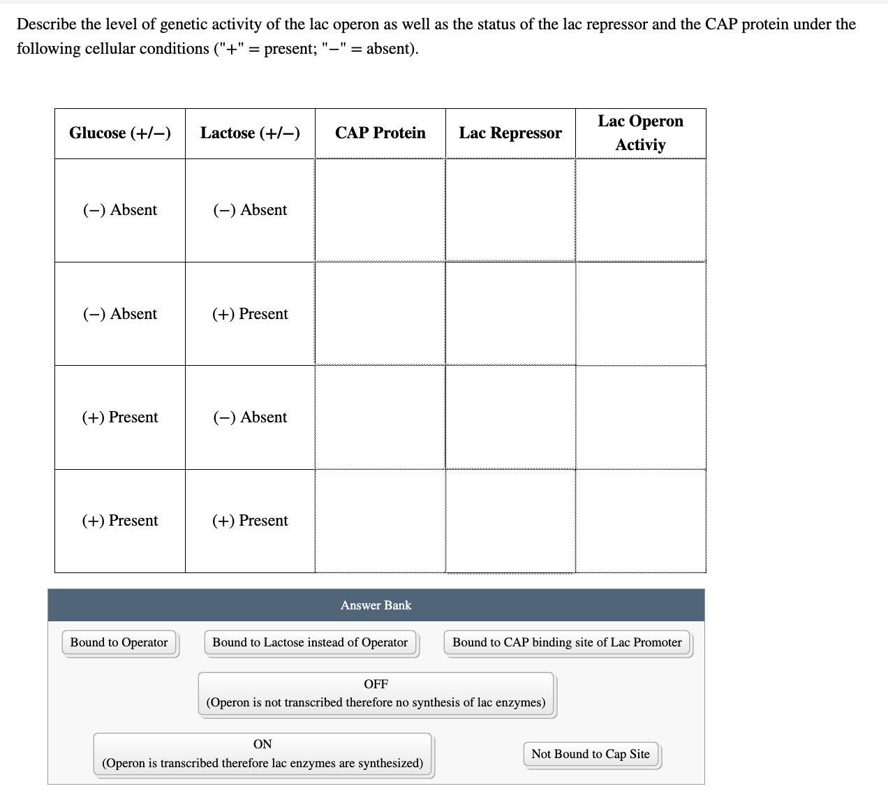Solved Describe the level of genetic activity of the lac | Chegg.com