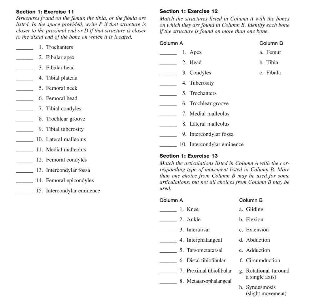 Solved Section 1: Exercise 11 Structures found on the femur, | Chegg.com