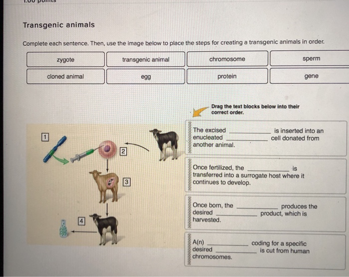 Solved Transgenic animals Complete each sentence. Then, use | Chegg.com