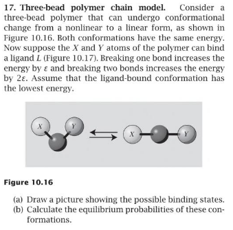 17. Three-bead polymer chain model. Consider a | Chegg.com