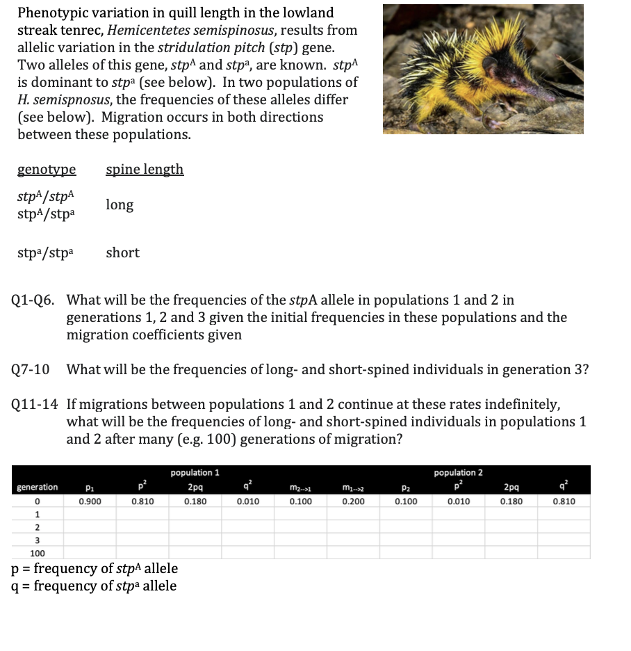 Solved Phenotypic variation in quill length in the lowland | Chegg.com