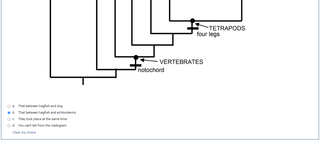 Solved Based on the cladogram below, which last common | Chegg.com