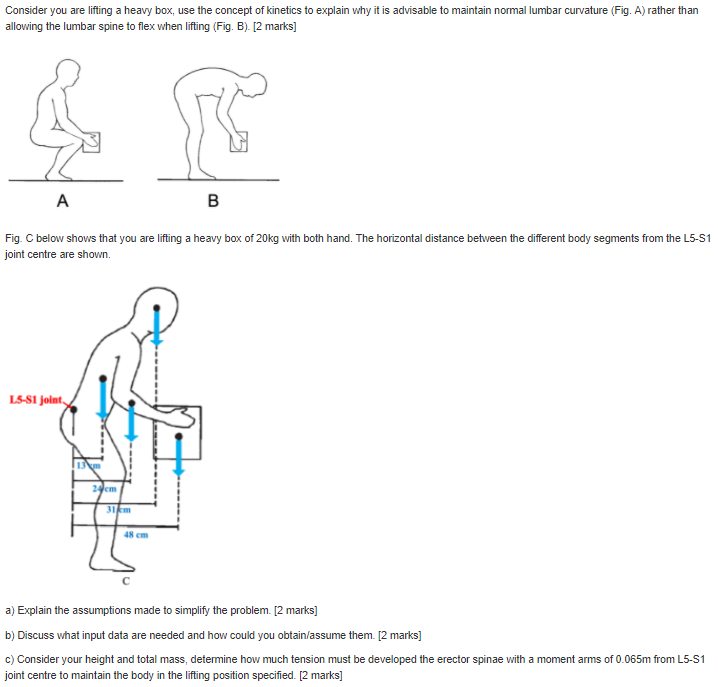 Solved Consider you are lifting a heavy box, use the concept | Chegg.com