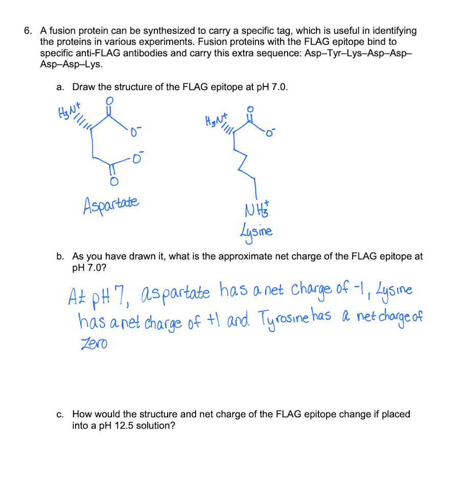Solved 6. A fusion protein can be synthesized to carry a | Chegg.com