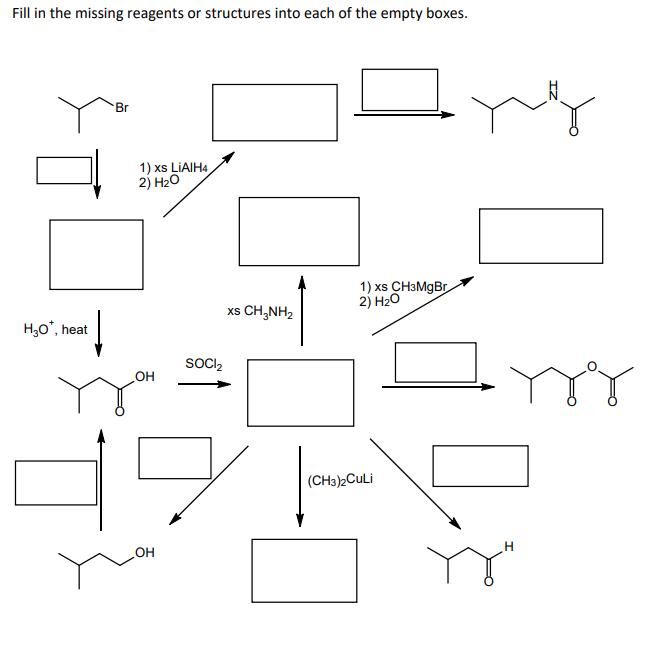 Solved Fill in the missing reagents or structures into each | Chegg.com