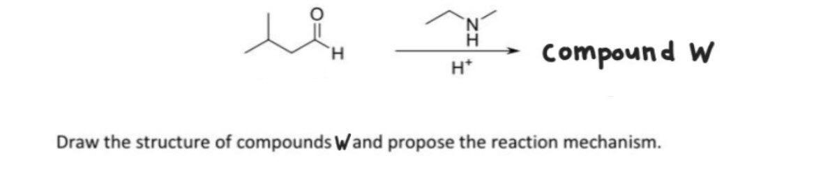 Solved H+N′ compound W Draw the structure of compounds W | Chegg.com