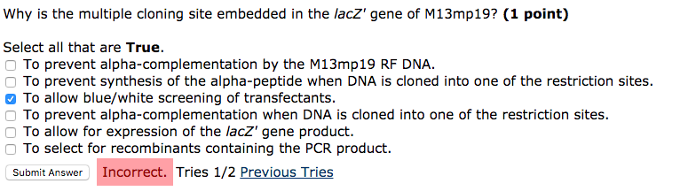 Solved Why is the multiple cloning site embedded in the | Chegg.com