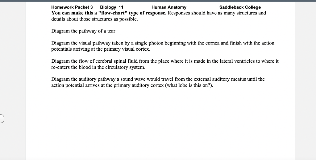 Solved Homework Packet 3 Biology 11 Human Anatomy Saddleback | Chegg.com