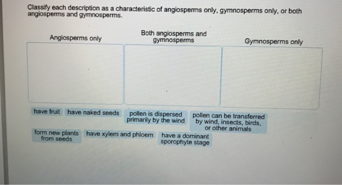 Solved Classify each description as a characteristic of | Chegg.com