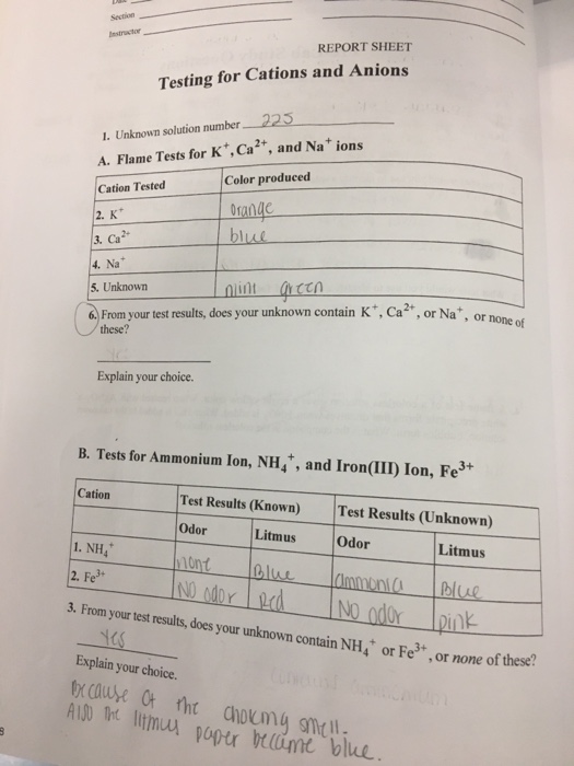 Solved Section Iestructor REPORT SHEET Testing for Cations | Chegg.com