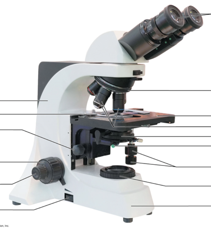 Please help me label this microscope where the lines | Chegg.com