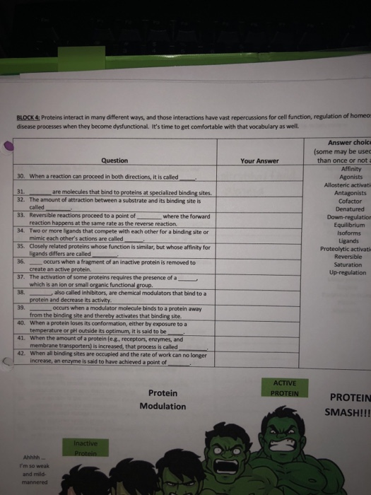 Solved BIO 206-General Human Physiology Homework Assignment | Chegg.com
