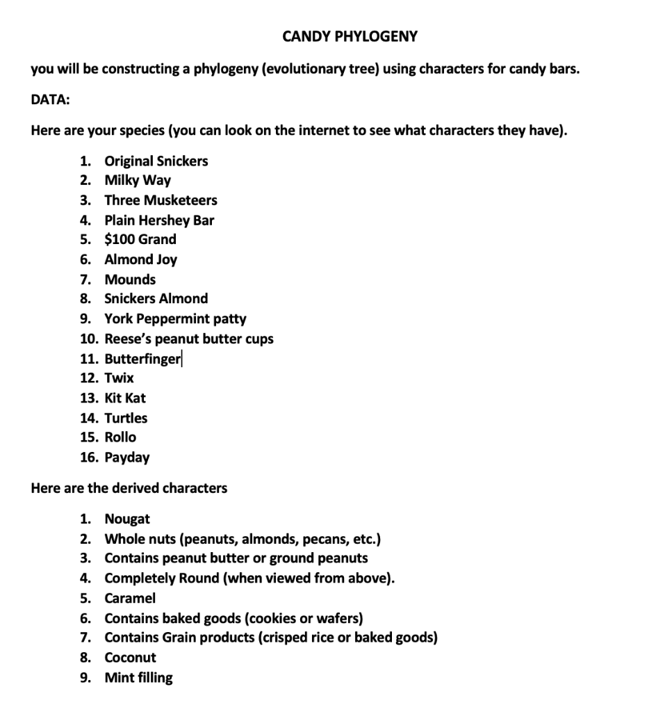 CANDY PHYLOGENY you will be constructing a phylogeny | Chegg.com