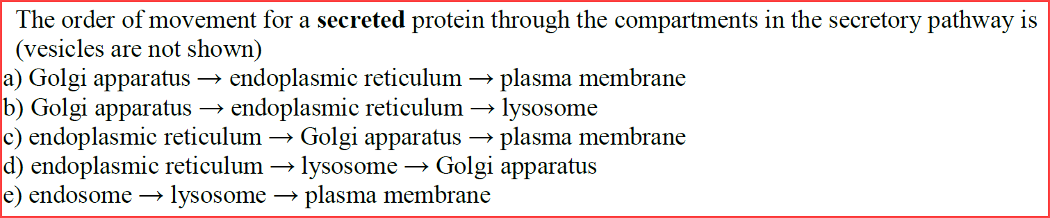 Solved The order of movement for a secreted protein through | Chegg.com