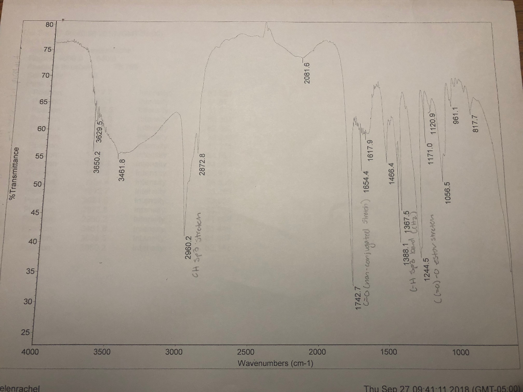 Solved This is my IR spectrum for Isopentyl Acetate Fischer | Chegg.com