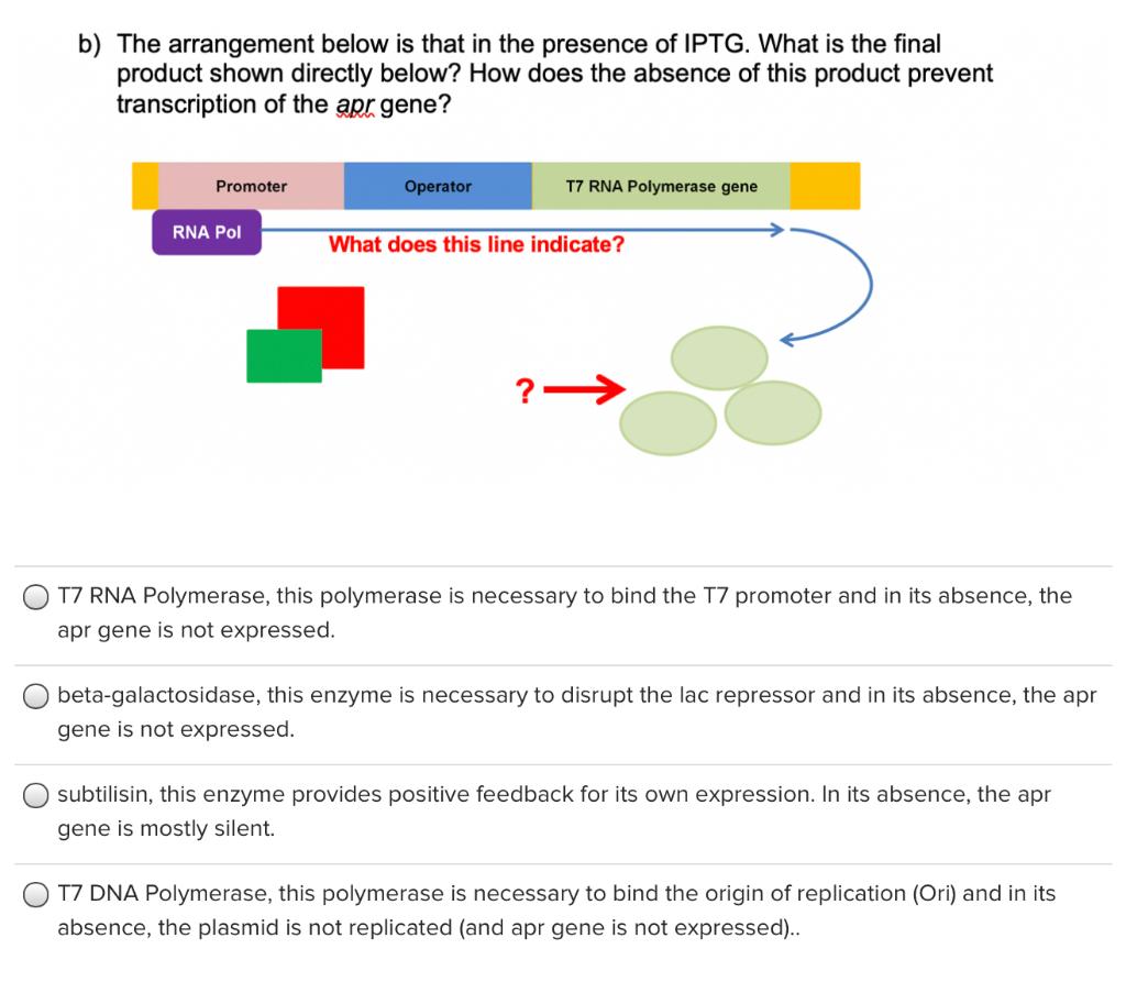 Solved T7 Promoter Lac Operator Plasmid with apr gene 7235 | Chegg.com