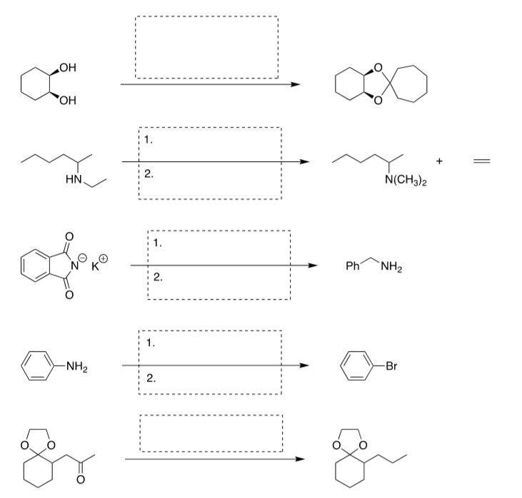 Solved ОН он N(CH3)2 PhNH | Chegg.com