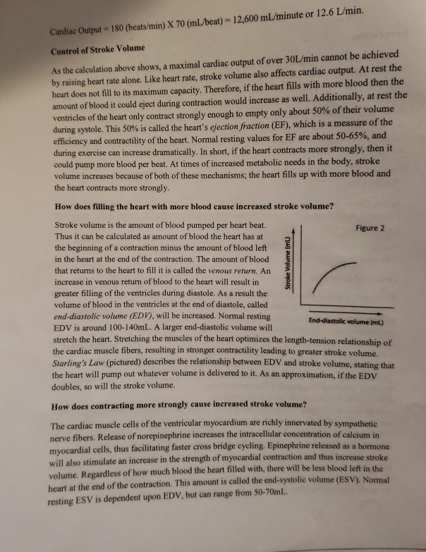 Solved Cardiovascular Mathematics Introduction output (CO) | Chegg.com