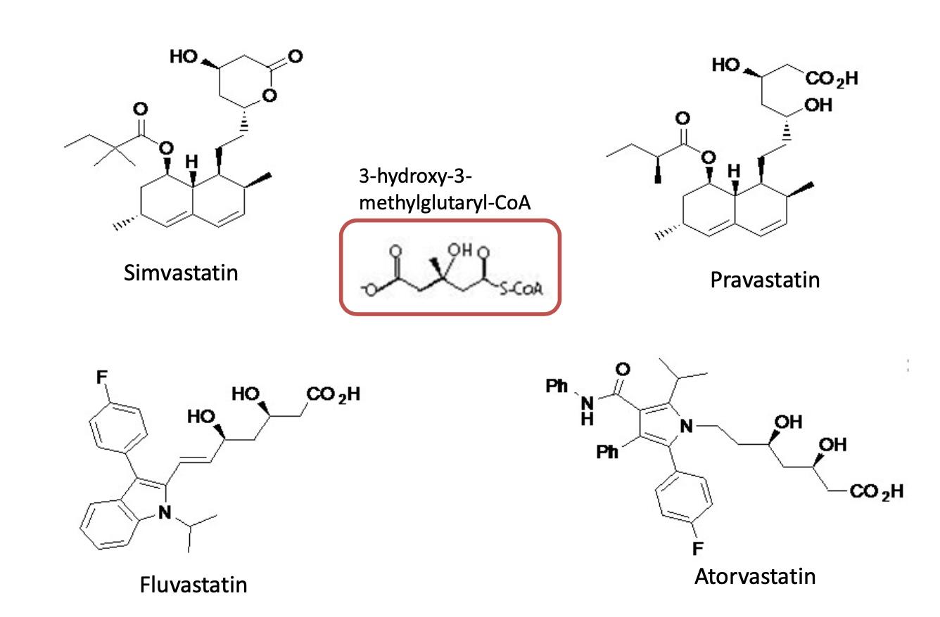 Solved Considering the structure-activity-relationships of | Chegg.com