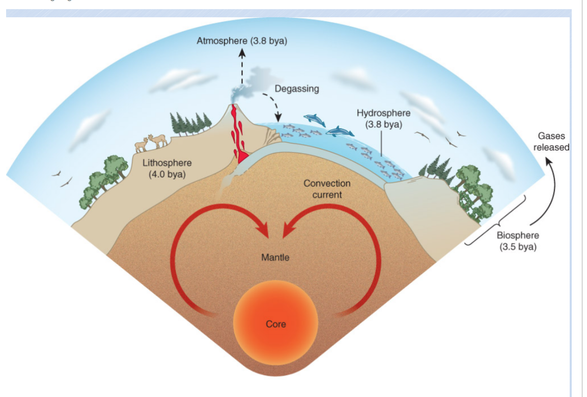Solved Note that the lithosphere is the outer shell of the | Chegg.com