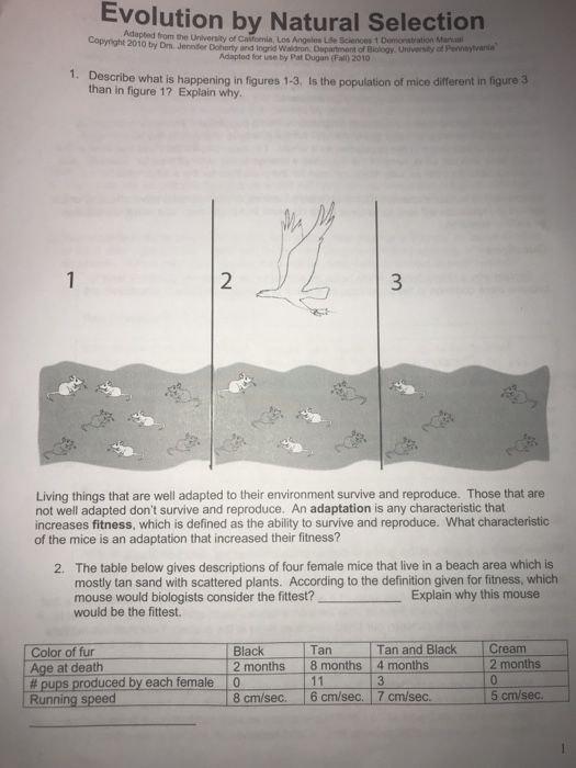 Solved Evolution by Natural Selection Adapted from the | Chegg.com