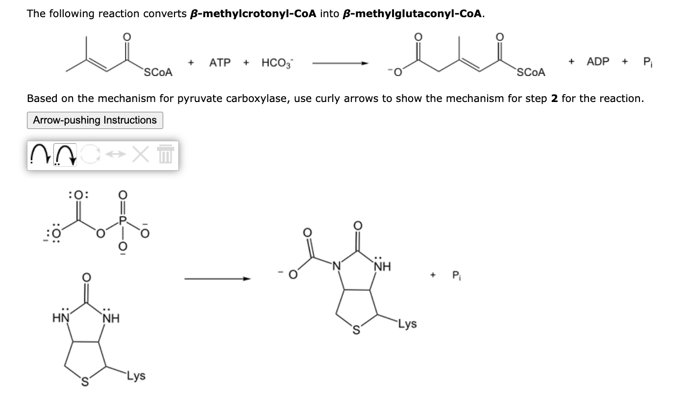Pyruvate Carboxylase Mechanism