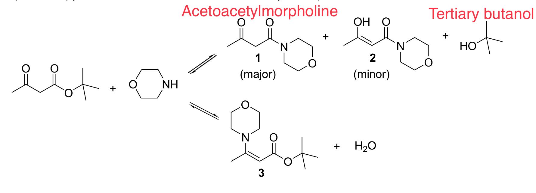 Solved Please label the products. Reaction is morpholine | Chegg.com