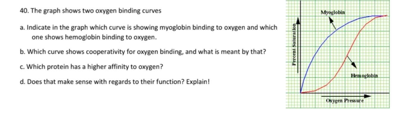 Solved 40. The graph shows two oxygen binding curves a. | Chegg.com
