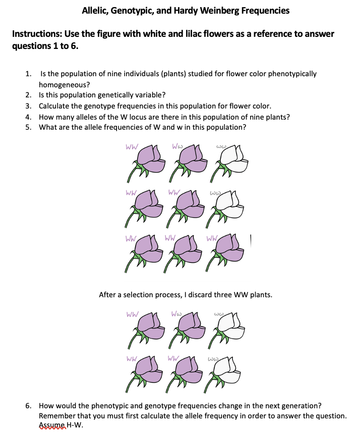Genotype Frequency Vs Allele Frequency