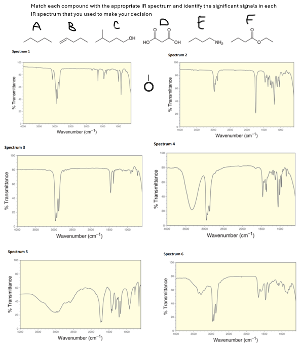 Solved Match each compound with the appropriate IR spectrum | Chegg.com
