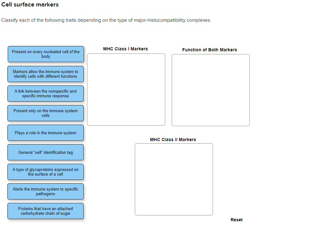 Solved Cell surface markers Classify each of the following | Chegg.com