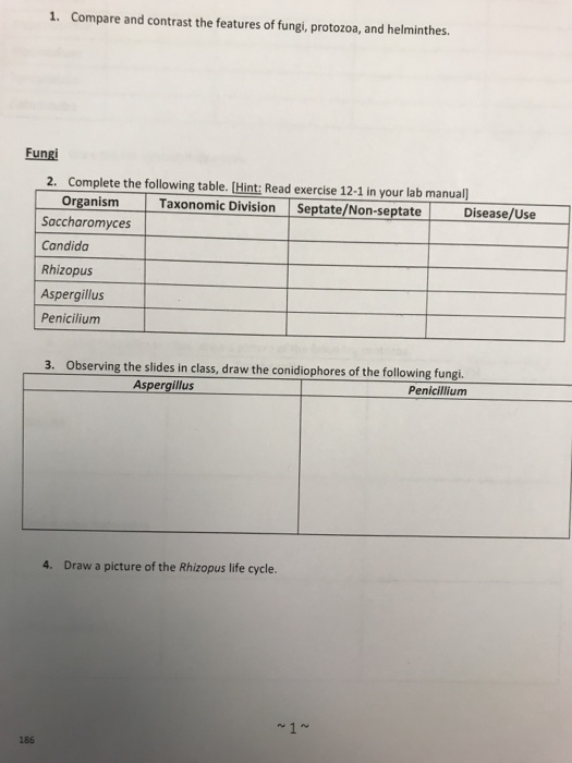 Solved 1. Compare and contrast the features of fungi, | Chegg.com