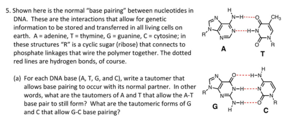 Solved For each DNA base, write a tautomer that allows base | Chegg.com